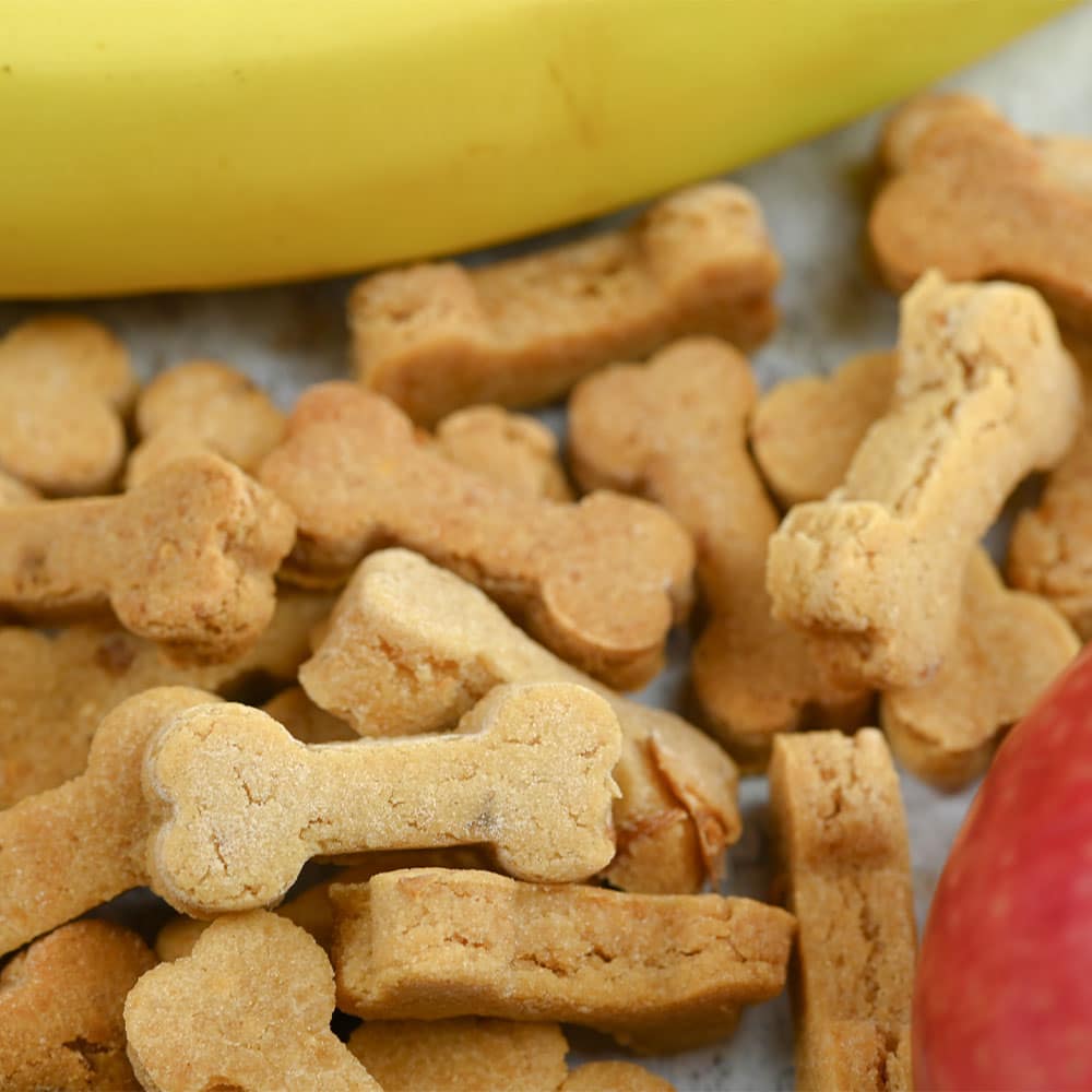 Apple and Banana Bones – Apawtiser