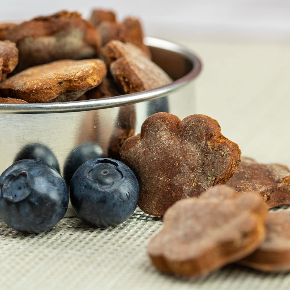 Blueberry Paws – Apawtiser